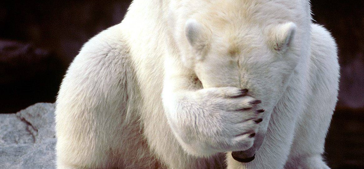 Don’t Call Me “Hon” – The Upstory